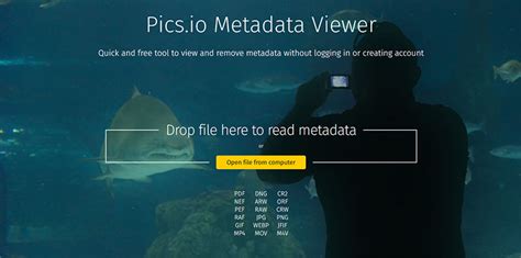 Best 8 Exif Data Viewers And Removers In 2025