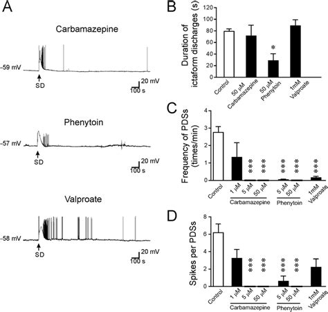 The Effects Of Carbamazepine Phenytoin And Valproate On Sd Induced Download Scientific