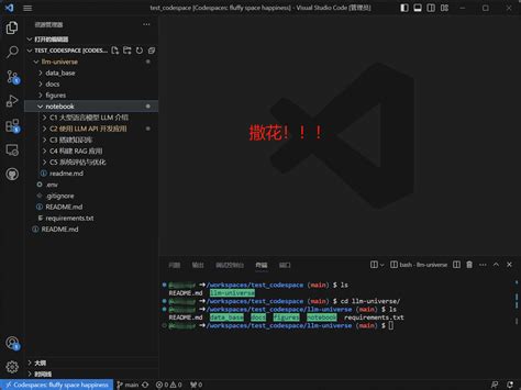 【动手学大模型开发】github Codespaces 基本使用and环境配置 Csdn博客