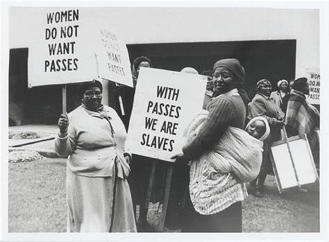 Pass Laws History 12