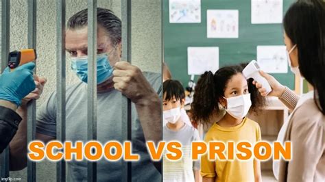 School Vs Prison Brainwash U From The Cradle To The Grave