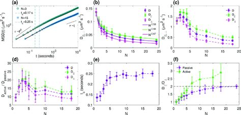 Quantification Of The Anisotropic Center Of Mass Dynamics A The