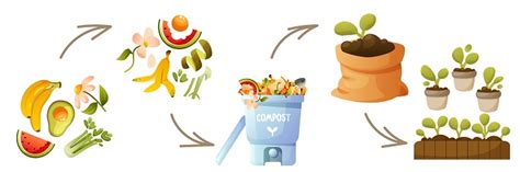 퇴비 수명주기 다이어그램 퇴비화 과정의 인포 그래픽 유기 폐기물 재활용의 과정 단계 부엌 쓰레기 수거부터 농업 원예에 퇴비 사용에 이르기까지 폐기물 제로 퇴비에 대한 스톡