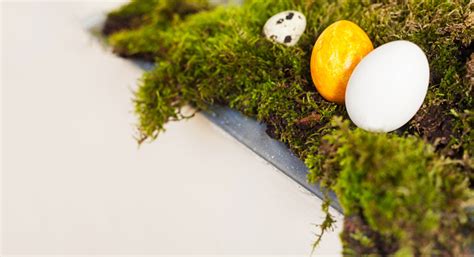 녹색 이끼 노란색에 부활절 달걀 부활절 배경 장식 자연에서 색상 봄 장식 자연적으로 가정용 인테리어 디자인 지속 가능 3월에 대한 스톡 사진 및 기타 이미지 Istock