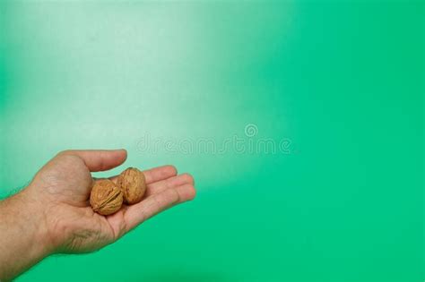 Hand Holding Magnifying Glass And Bugs On Paper With Printed Hexadecimal Program Source Code