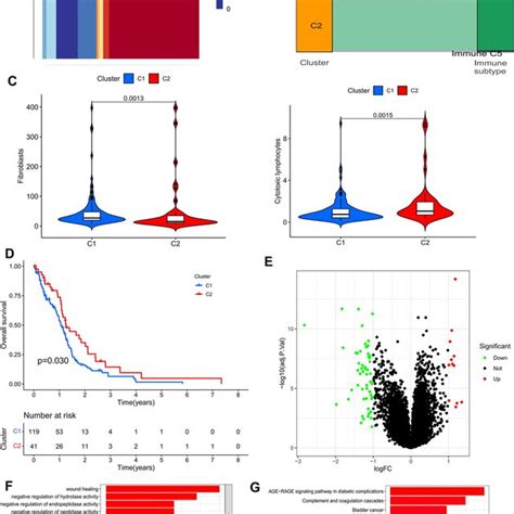 Identification Of Different Subtypes A The Nmf Algorithm Identified Download Scientific
