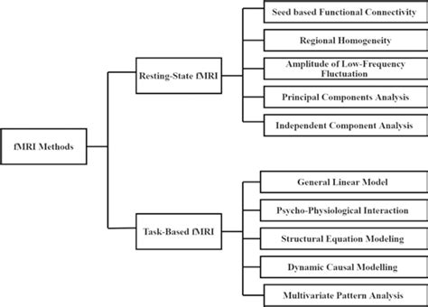 Classification Of Fmri Methods Download Scientific Diagram