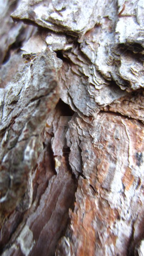 Bark Pattern By Quickwing23 On DeviantArt