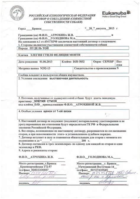 Как выглядит договор купли продажи собаки образец