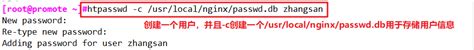 Nginx网站服务配置，图文详解（超详细）nginx 配置网页 Csdn博客