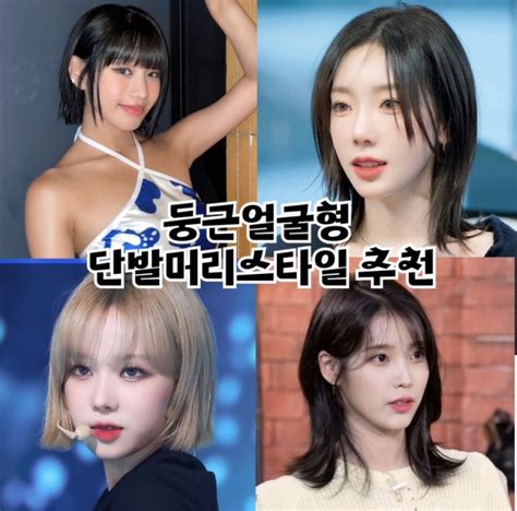 둥근얼굴형 단발 연예인 머리스타일 추천테슬컷 레이어드컷 허쉬컷 네이버 블로그