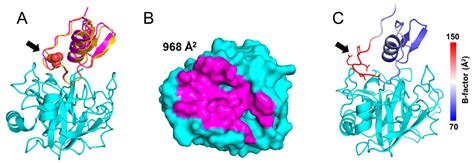 Felixs Paper On Structural And Biophysical Insights Into Spink1 Bound