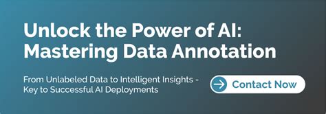 What Is Data Annotation Definition Types Tools Future Trends