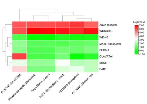 expression patterns in log2 based fpkm of genes identified by gwas for