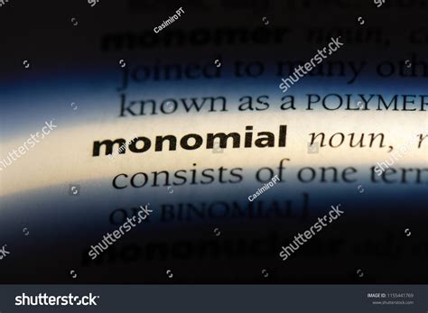 Monomial Images Stock Photos Vectors Shutterstock