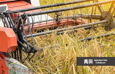 Combine Header Parts Reliable Manufacturer Cothda