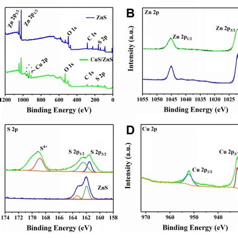 High Resolution Xps Spectra Of Zns And Cus Zns A Zn 2p B S 2p Download Scientific Diagram