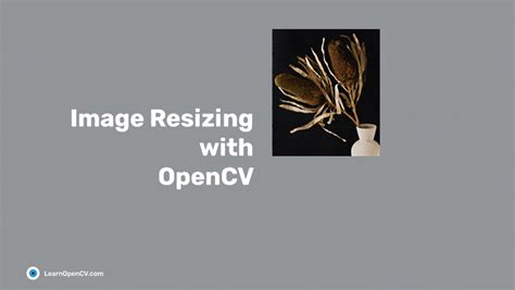 an image resizing with opencv is shown in the middle of a photo