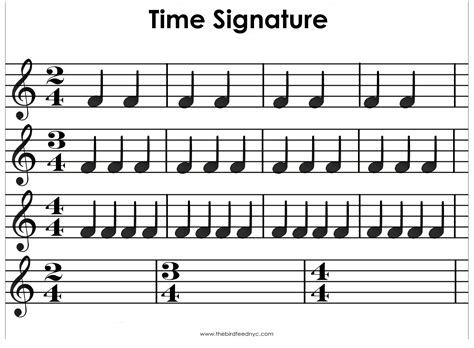 Time Signature