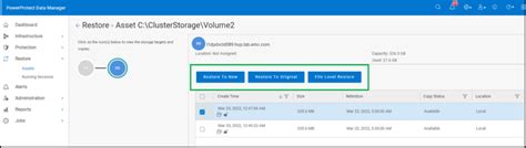 Protecting Windows Clustered Disks With Data Manager Dell Powerprotect Data Manager File