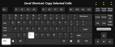 Copy Selected Cells Excel How To