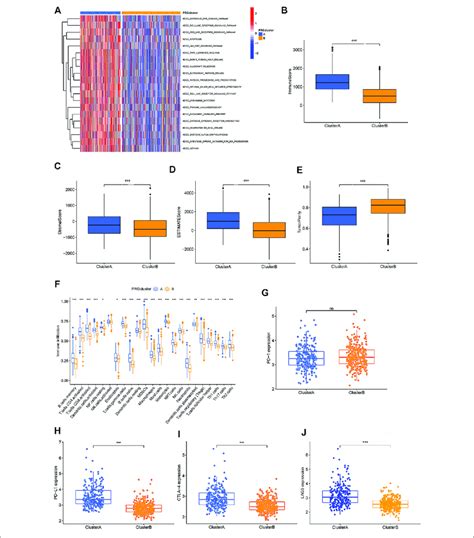 Two Different Crc Subtypes Showed Diverse Tumor Immune Cell