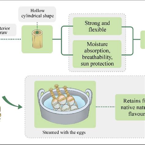 Implementation Workflow Of Green Packaging Design [drawing By The Author] Download Scientific