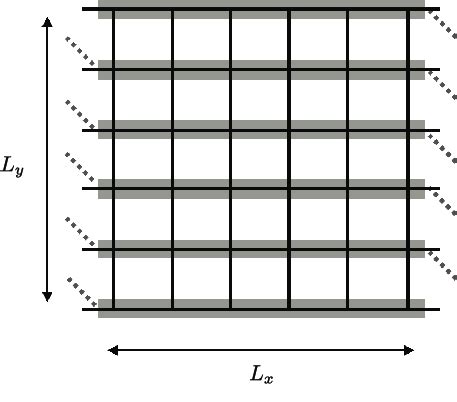 FIG S Lx Ly Square Lattice Used In The DMRG Calculations We Download Scientific Diagram
