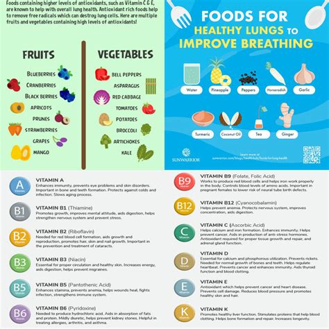 Lung Cheatsheet By Retroreloads On Deviantart