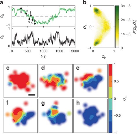 Spontaneous Reversal Of Rotation Direction A Time Dependent Rotational