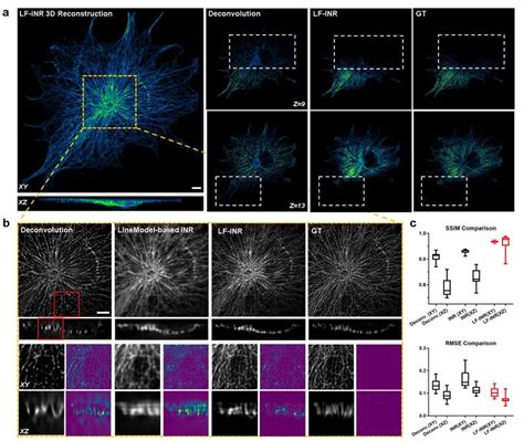 Comparative Performances Of Deconvolution Geometry Model Based Inr And Download Scientific