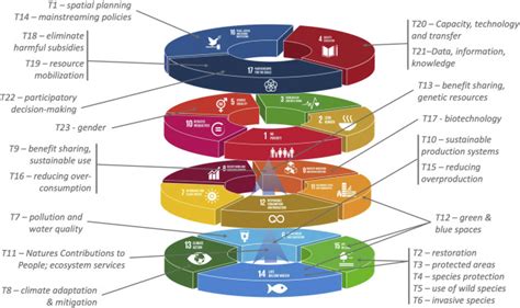 The Kunming Montreal Global Biodiversity Framework Business As Usual Or A Turning Point One Earth