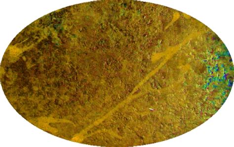 Aged Metal Rust Colors For Earth LLC