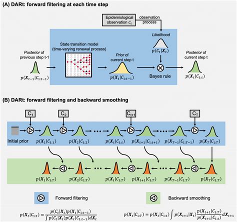 Illustration Of The Inference Of Dart System For Estimation The Download Scientific
