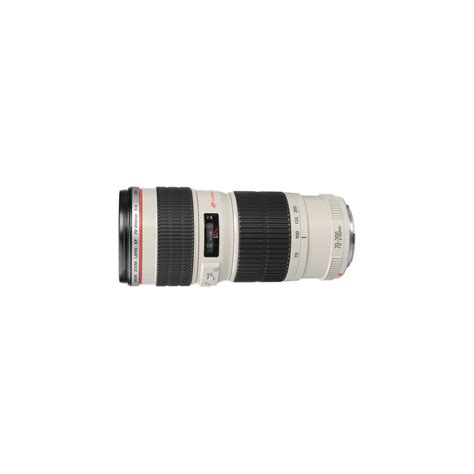 Canon EF 70-200mm f/4L USM Telephoto Zoom Lens - ( 2578A002 )