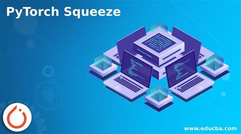 Pytorch Squeeze Overviews And Pytorch Squeeze Function Code