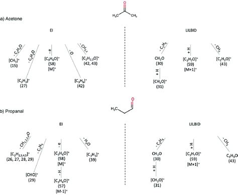 Composition And Formation Pathways Of Molecular And Fragment Cations Of