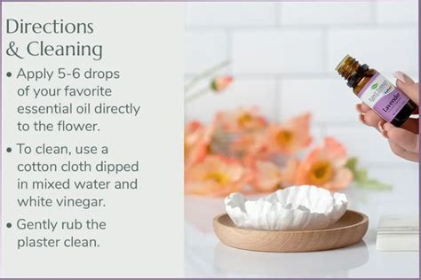 Guide To Portable Essential Oil Diffusers Aromatherapy Anywhere Anytime Aromatherapy Anywhere