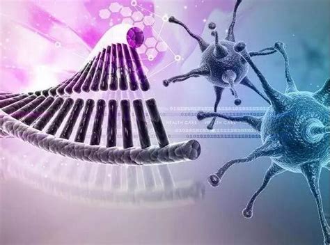 基因突变类型 基因突变 基因突变 大山谷图库