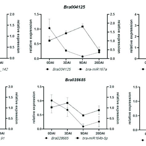 Qrt Pcr Validation Of Mirnas And Their Targeted Gene Expression At Download Scientific Diagram