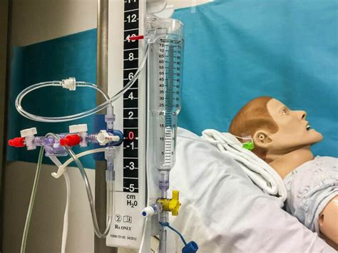 External Ventricular Drain Safety Campaign A Global Patient Safety