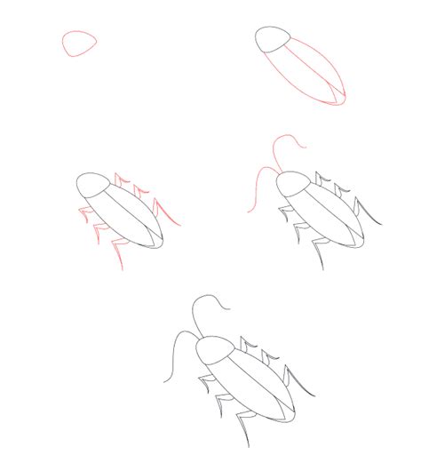 20 Easy Cockroaches Drawing Ideas Drawing Photos
