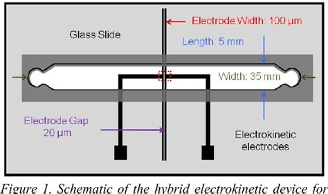 Figure 1 From An Electrokinetic Microdevice For Isolation And Quantification Of Circulating Cell