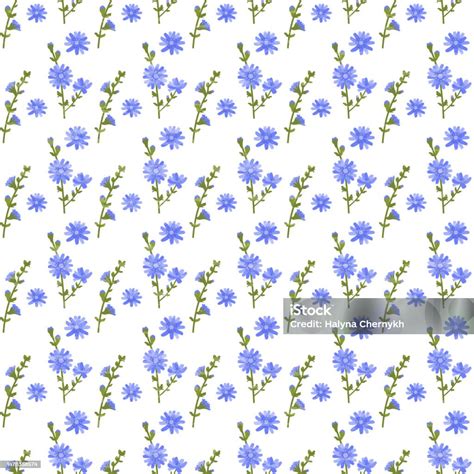 파란색 치커리 꽃의 매끄러운 벡터 그림 흰색 배경에 꽃의 줄기 질감 직물 포장 표면에 대 한 꽃 패턴입니다 0명에 대한 스톡 벡터 아트 및 기타 이미지 Istock
