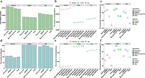 Benchmarking Dna Methylation Analysis Of 14 Alignment Algorithms For Whole Genome Bisulfite