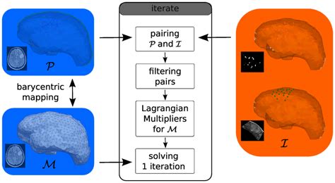 Iterative Registration Process Pairings Between Pre And Intraoperative Download Scientific