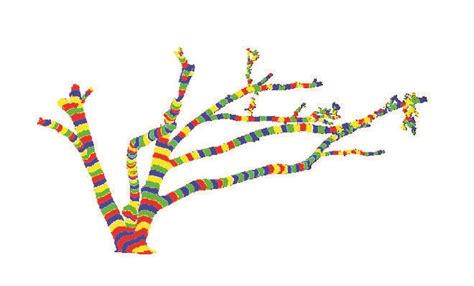 Skeleton Extraction Process A Is The Raw Point Cloud Data Of Toona