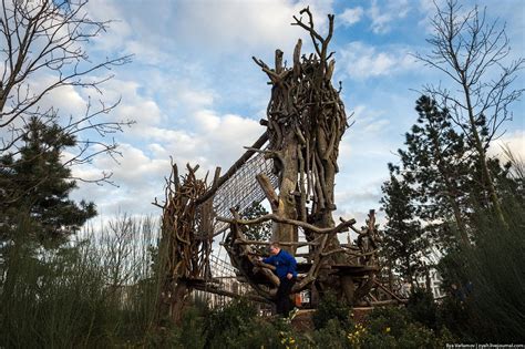 Лондон, день 4. Детские площадки и Олимпийский парк — Teletype