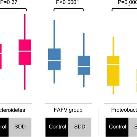 Phylum Abundance Analysis Boxplot Of The Phylum Abundance Analysis