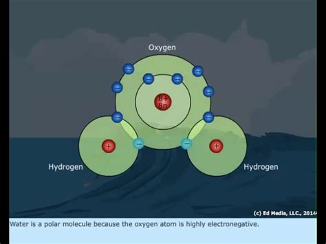 Water Molecule Diagram Electrons Draw The Lewis Dot Structure For The